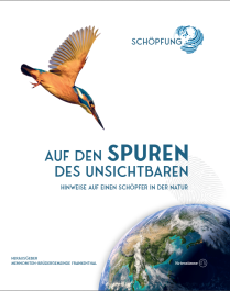 Auf den Spuren des Unsichtbaren | Sarto Verlag